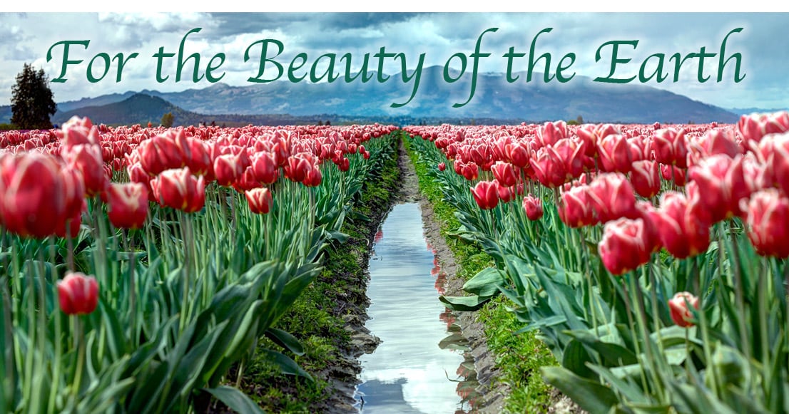 Earthcare: For the Beauty of the Earth - Our Redeemer's Lutheran Church